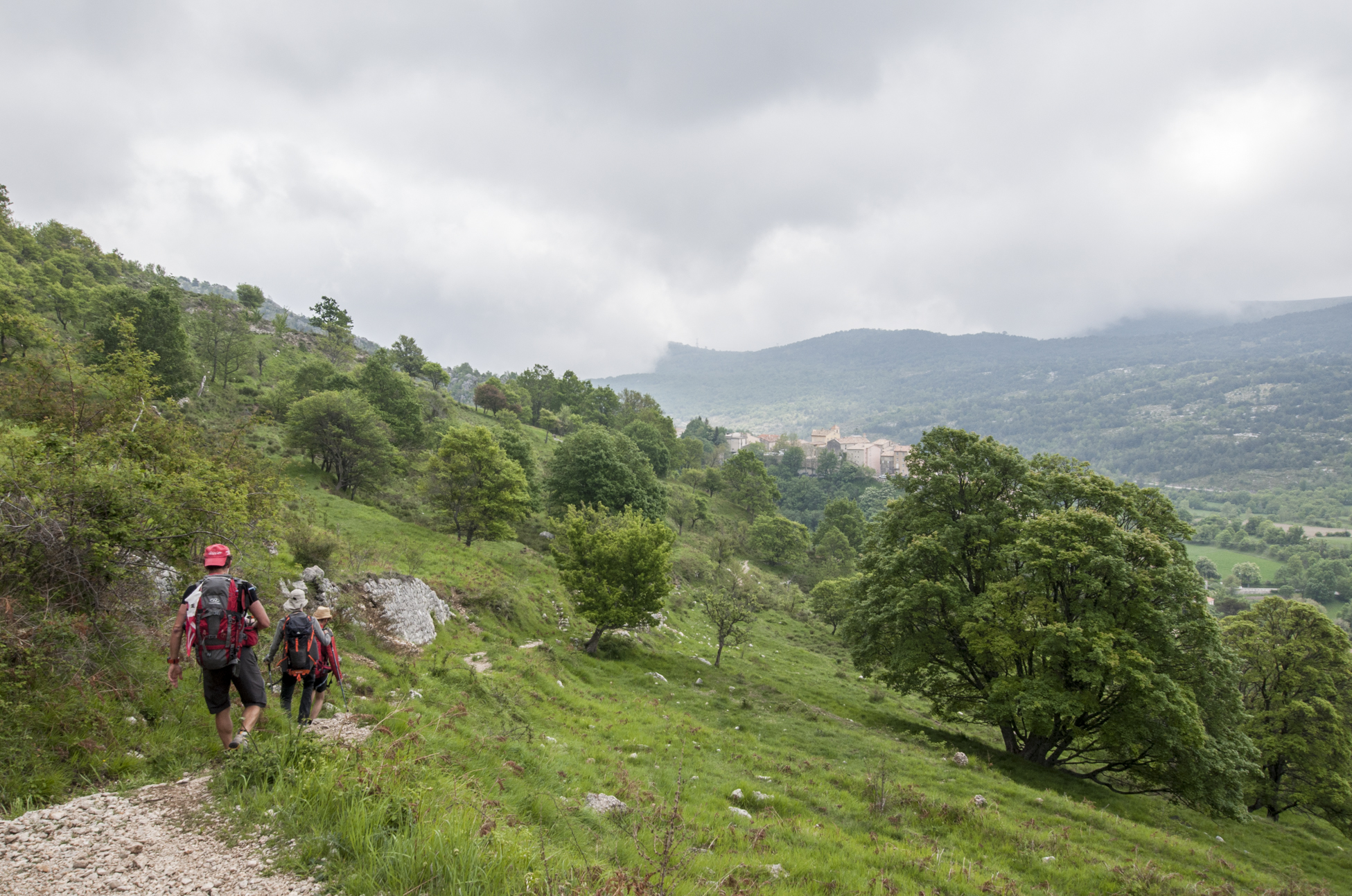 Randonnée - Montagne du Cheiron | Nature Break