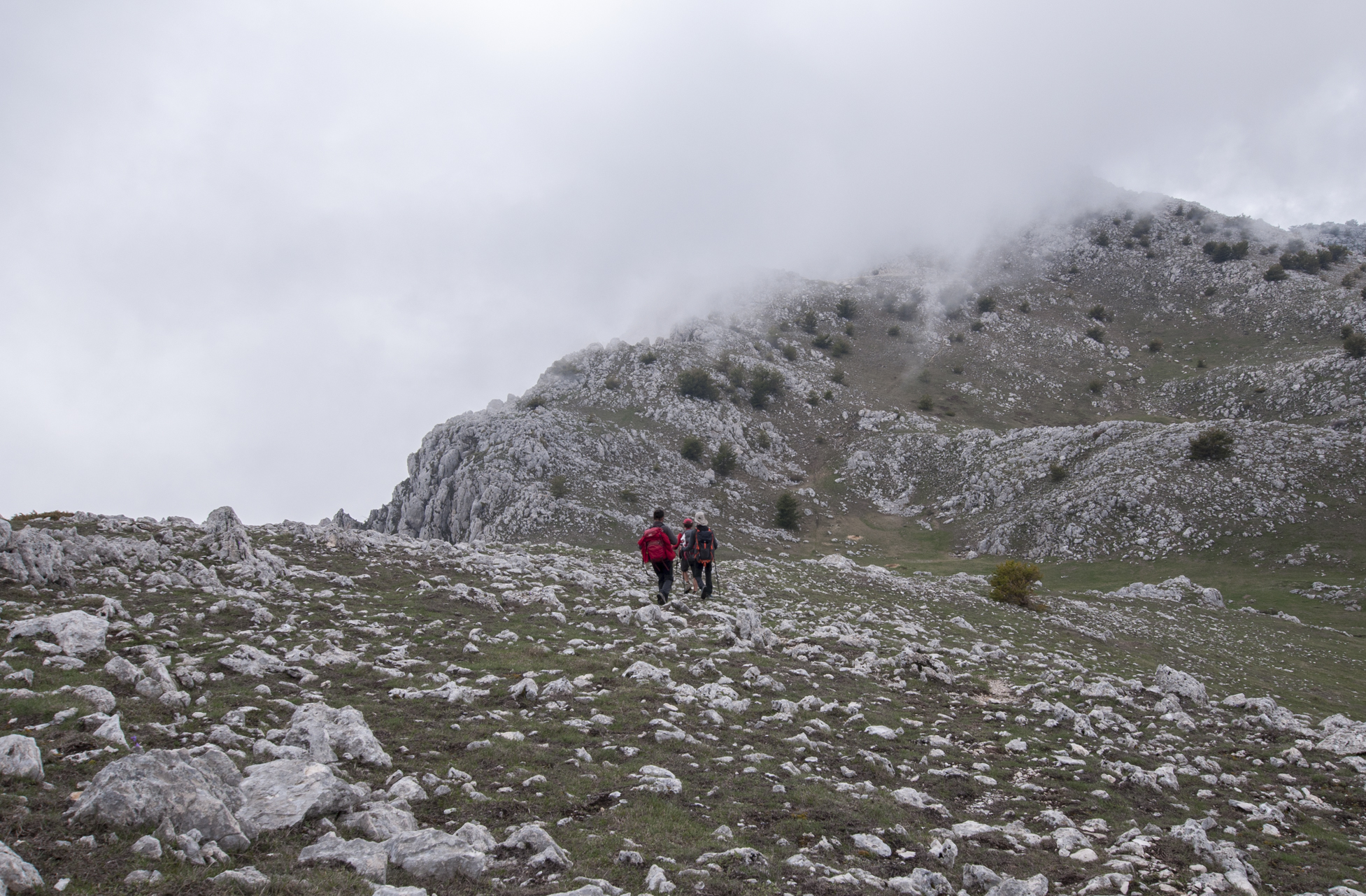 Randonnée - Montagne du Cheiron | Nature Break